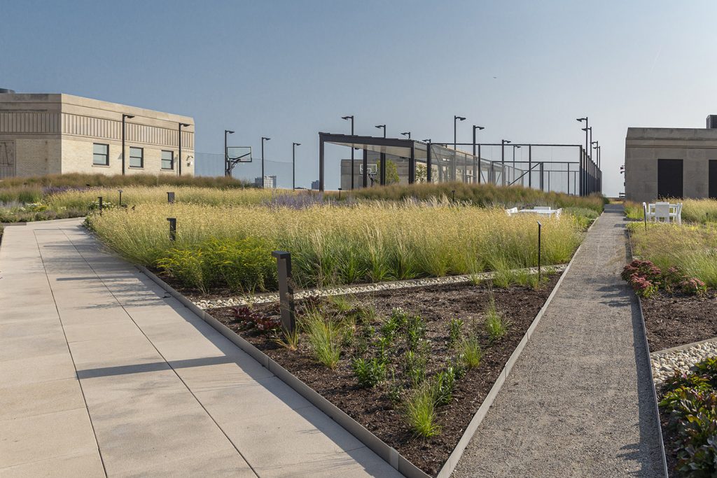 Old Post Office Unveils Rooftop Terrace in West Loop Gate - Chicago YIMBY