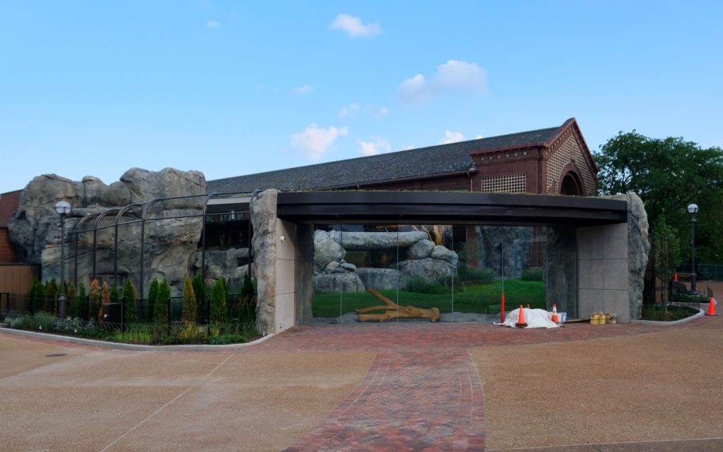 Photos Show Nearly Complete Lion House Renovation At Lincoln Park Zoo