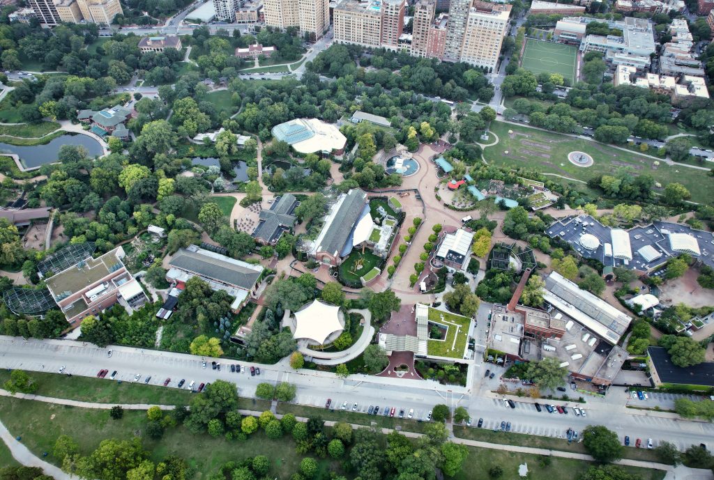 Photos Show Nearly Complete Lion House Renovation at Lincoln Park Zoo ...