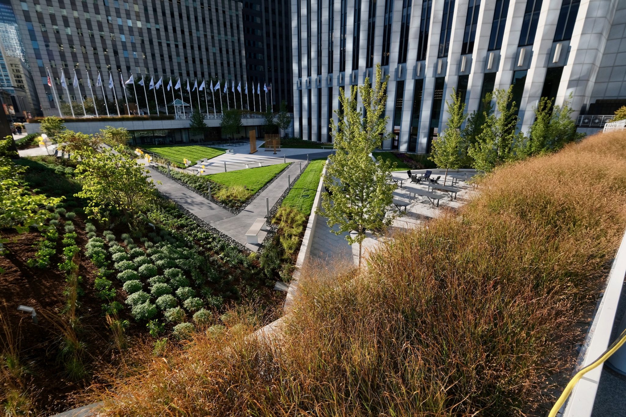 Aon Center Plaza Opens to Public at 200 E Randolph Street in New ...