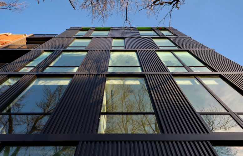 Facade Nears Completion at 15 N Elizabeth Street in West Loop - Chicago ...
