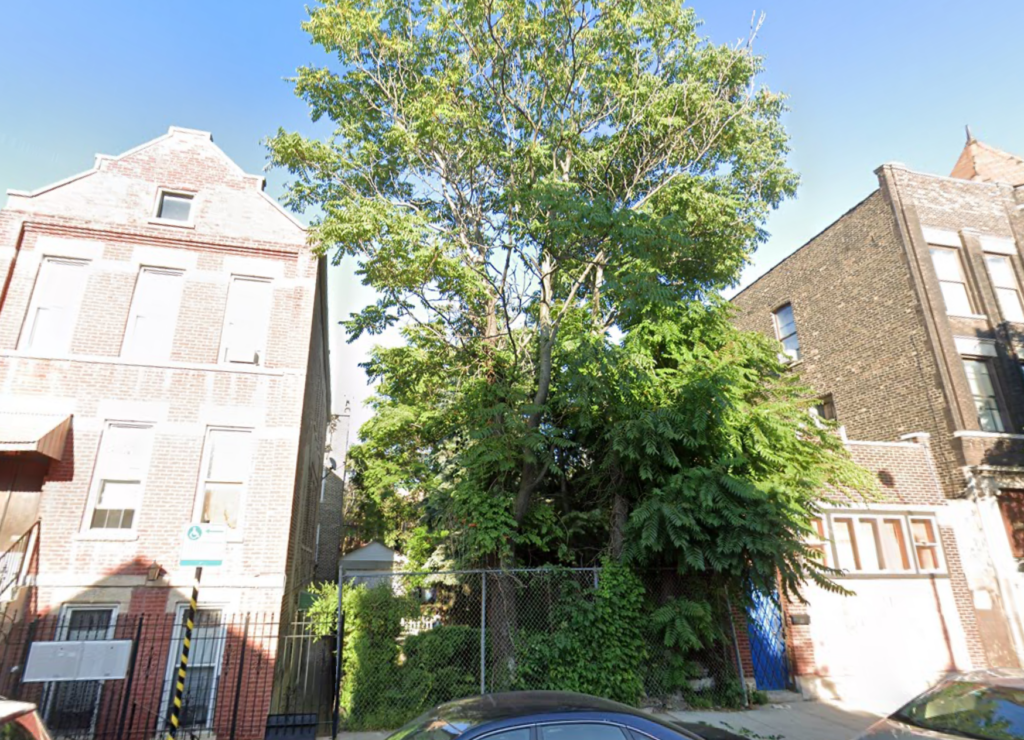 Permits Issued For 2019 S Throop Street In Pilsen