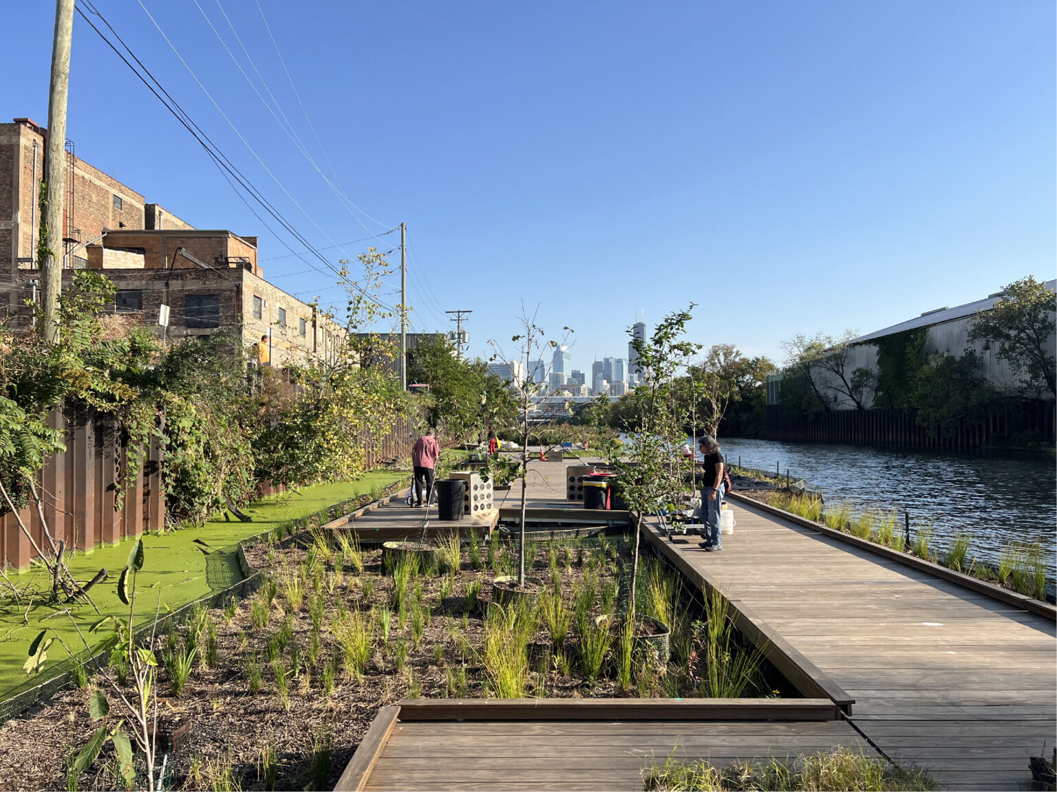Second Phase Of Wild Mile Opens To Public Within The Chicago River ...