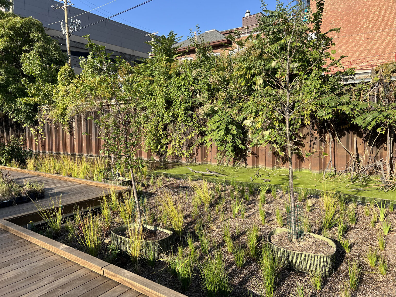 Second Phase Of Wild Mile Opens To Public Within The Chicago River ...