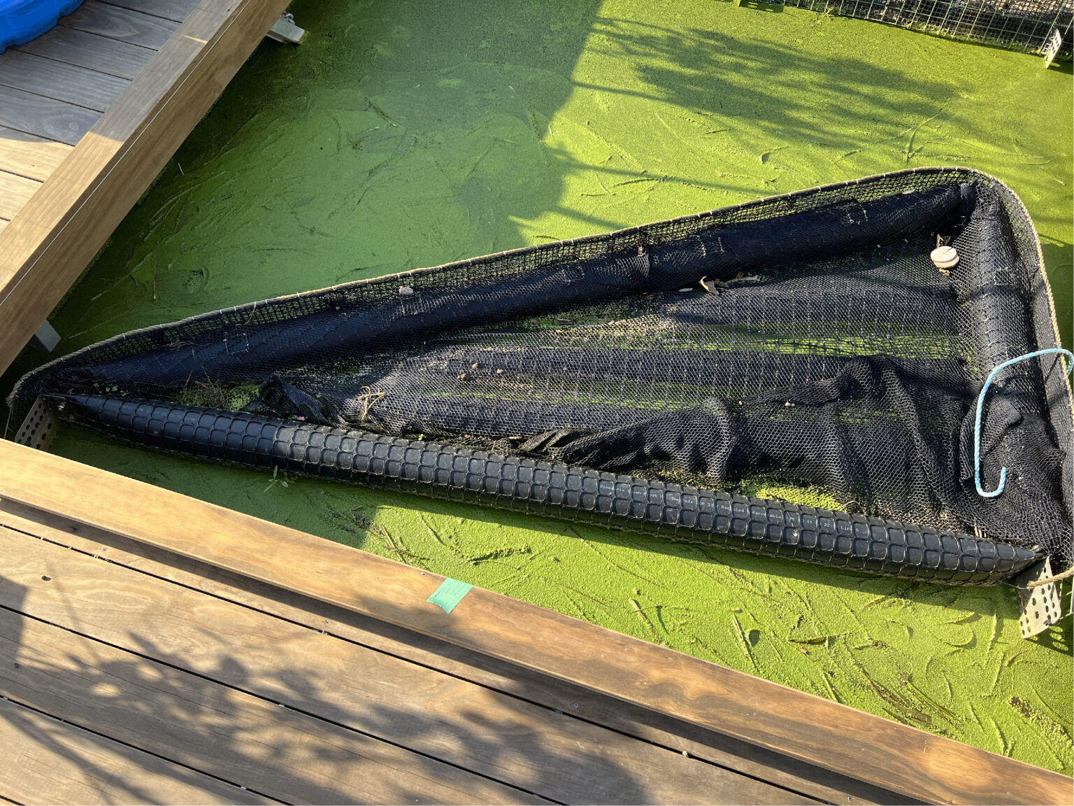 Second Phase Of Wild Mile Opens To Public Within The Chicago River ...