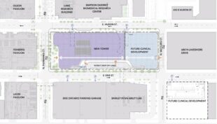 Further Details Revealed For New Northwestern Hospital Tower In ...