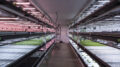Vertical Farm And Residential Conversion Proposed For Vacant State ...