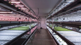 Vertical Farm And Residential Conversion Proposed For Vacant State ...