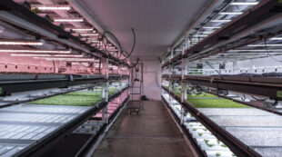 Vertical Farm And Residential Conversion Proposed For Vacant State ...