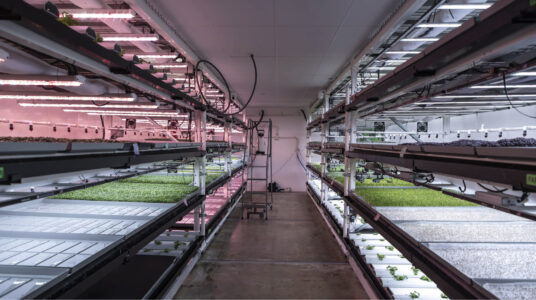 Vertical Farm And Residential Conversion Proposed For Vacant State ...